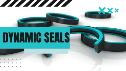 Dynamic Seals: Something You Need To Know