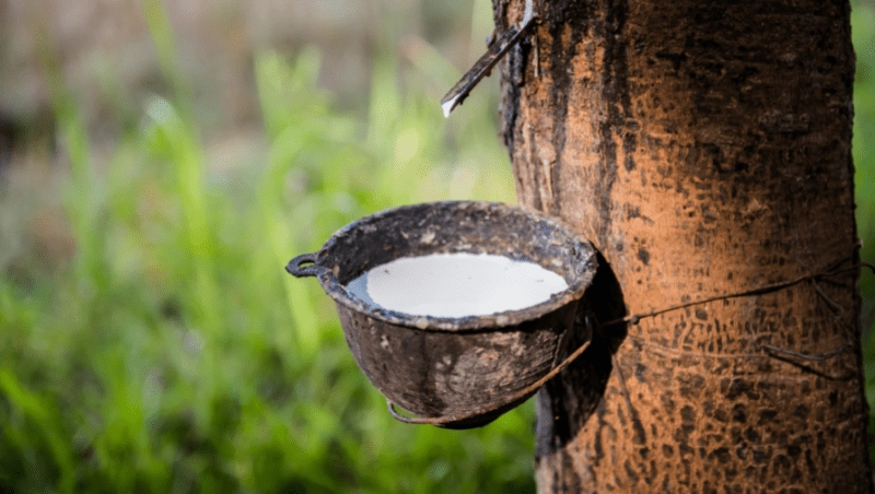 Natural Rubber: The Definitive Guide - Hongju