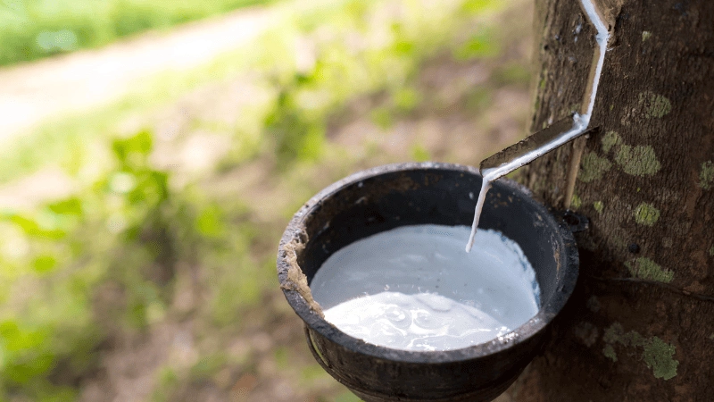 A Detailed Analysis: What are Vulcanization and Vulcanized Rubber? - Hongju